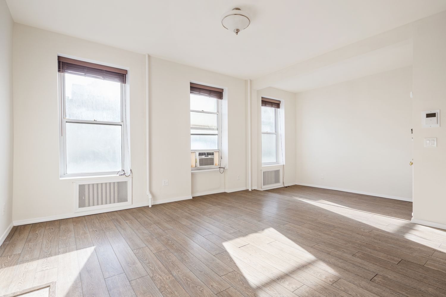 Adelaide Polsinelli, Real Estate Agent - Compass