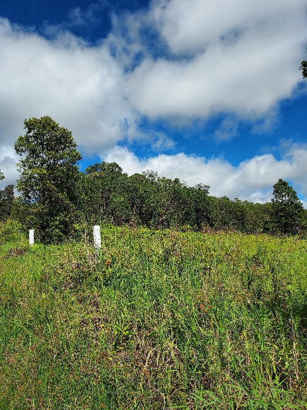 Lehuanani Street, Hilo, HI 96720 | Compass