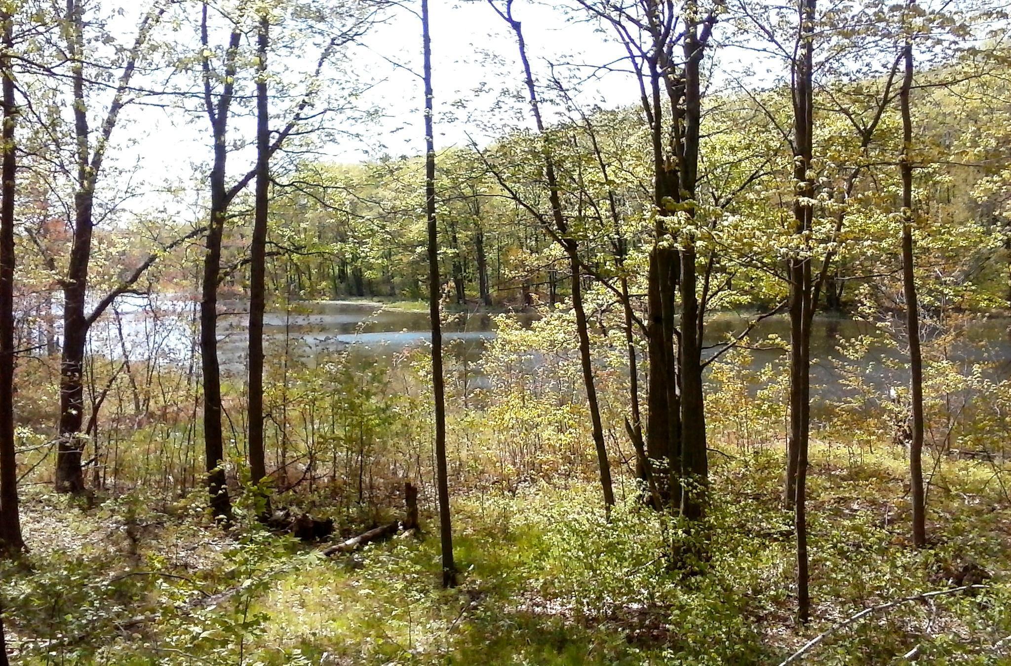 7609 Woodchuck Trail, Randall, MN 56475 | Compass