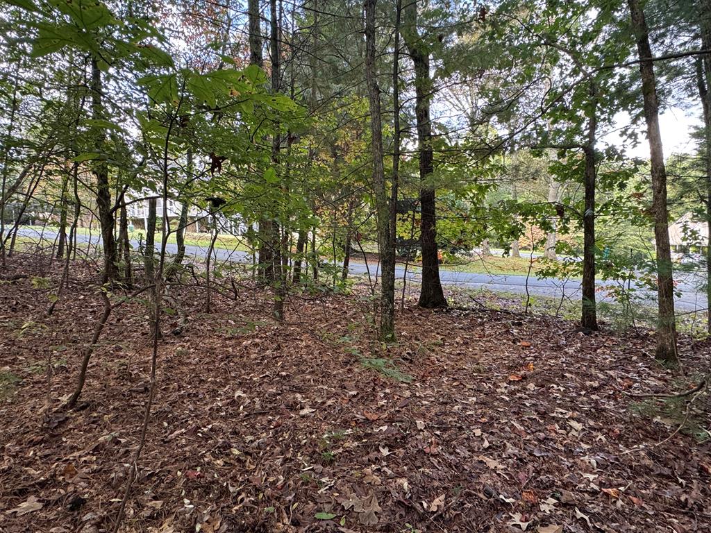 0 High Country Cir, Morganton, GA 30560 | MLS #419176 | Compass