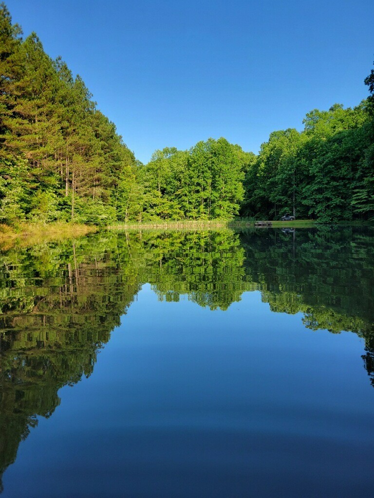 2150 Hog Creek Road, Sugar Tree, TN 38380 | Compass