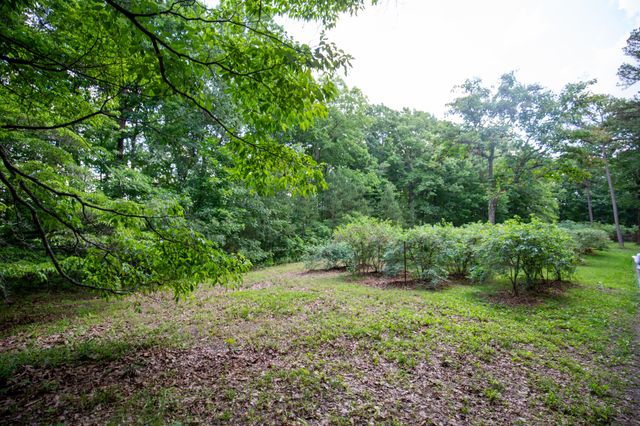 Brian Copeland, Real Estate Agent - Compass