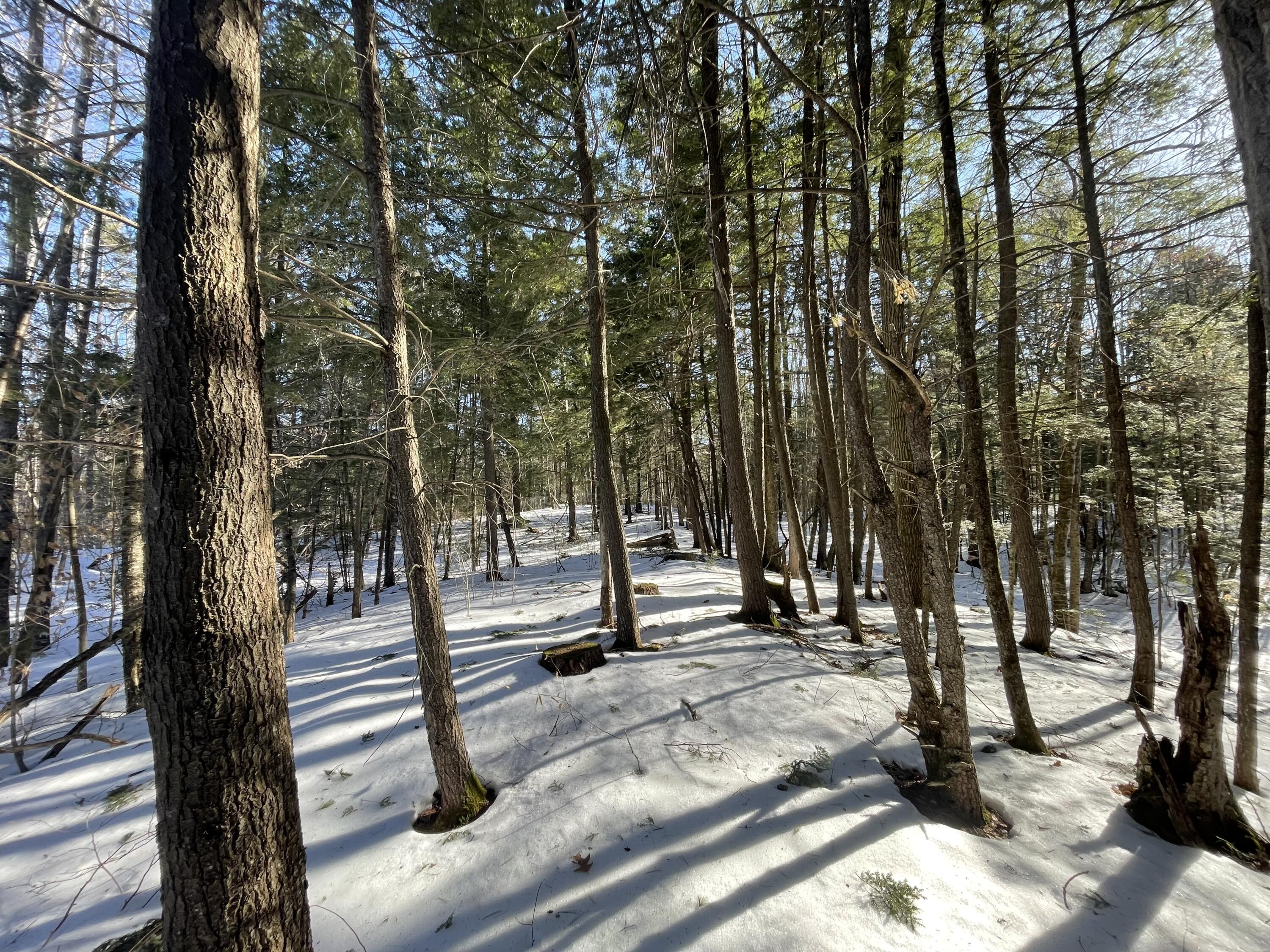 L63 Intervale Road, New Sharon, ME 04955 | MLS #1615945 | Compass