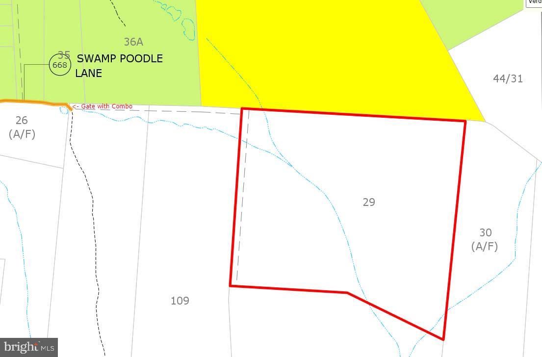 Where Is Swamp Poodle In Dc