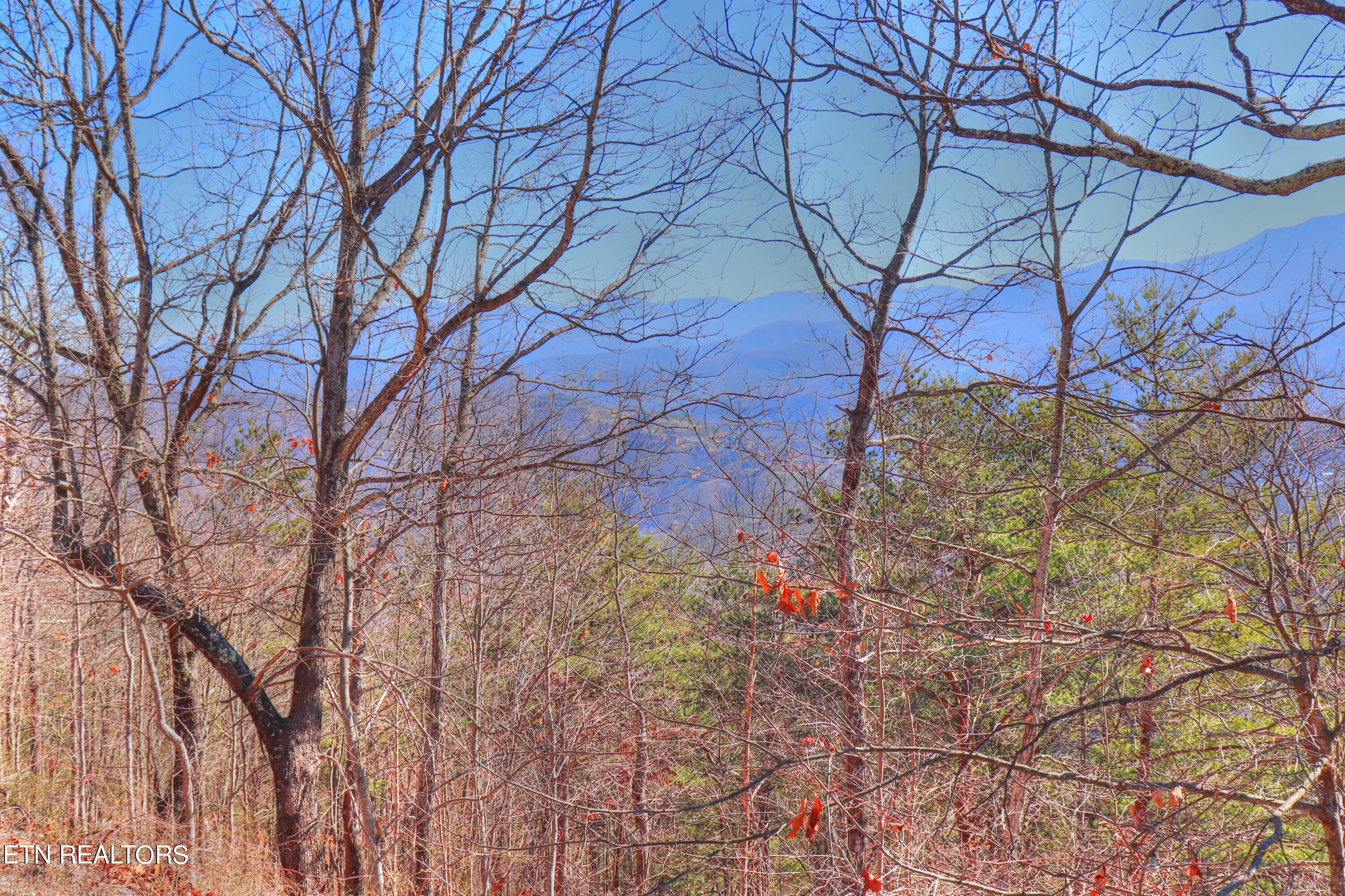 Lot 29 Laurel Top Way, Sevierville, TN 37862 | Compass