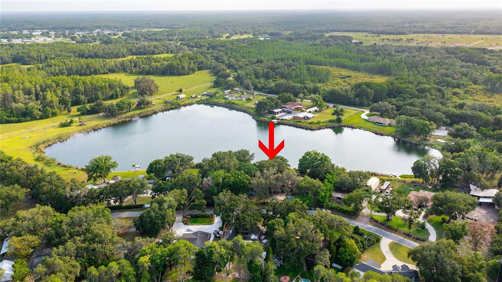 Lake Pretty Odessa Fl