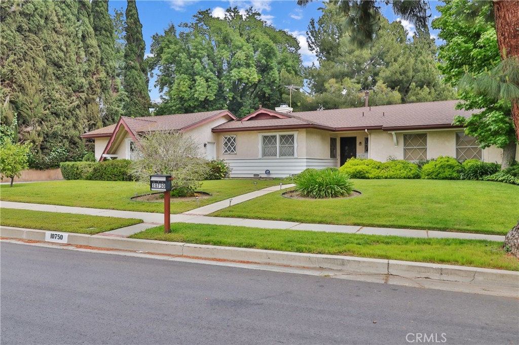 Yolanda Williams Sidewalk