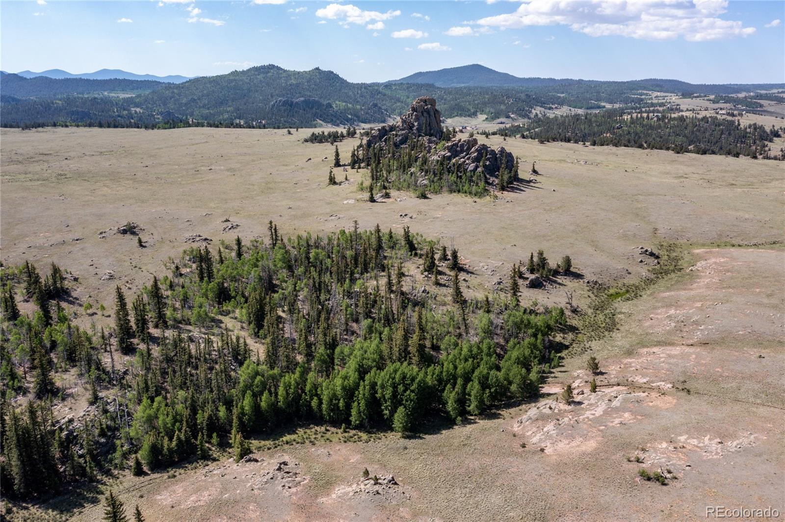 77 Tarryall Road, Jefferson, CO 80456 | Compass