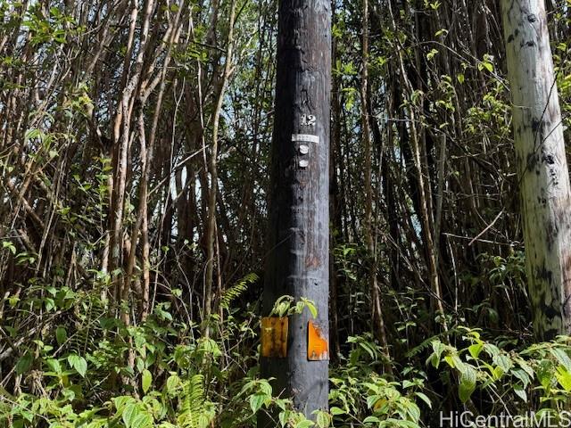 17-3352 Maunalani Rd, Mountain View, HI 96771 | MLS #202524272 | Compass