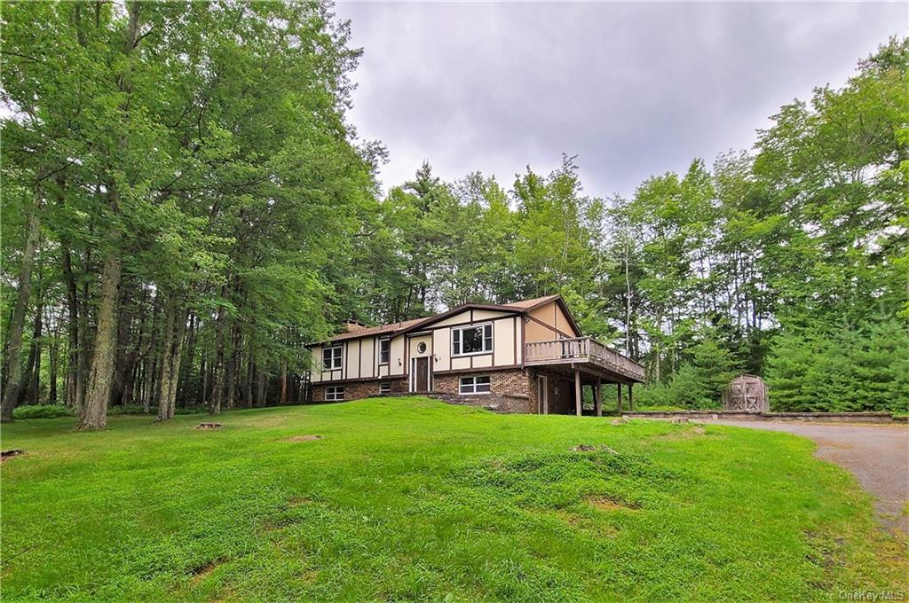 23 Krystyna Road, Mongaup Valley, NY 12762 | Compass