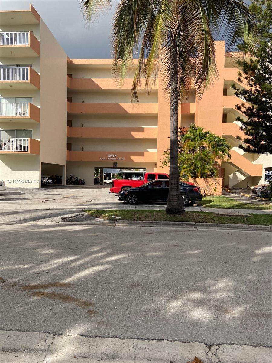 Sunny Miami Streets
