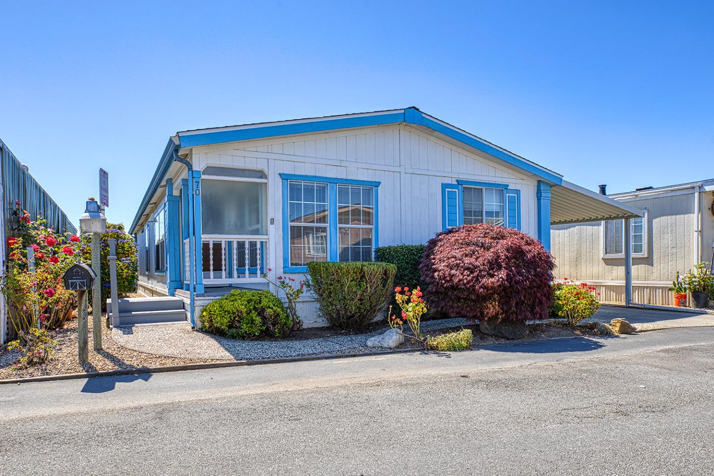 Cesar Flowers Watsonville Ca | Best Flower Site