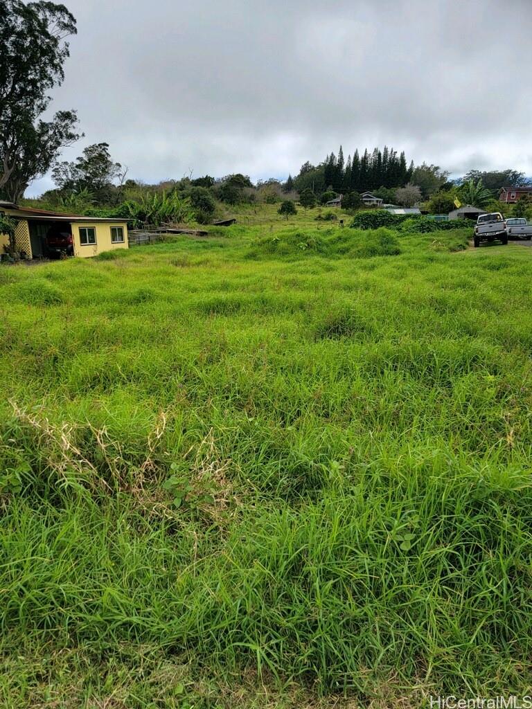 64-400 Leleaka Loop, Kamuela, HI 96743 | Compass