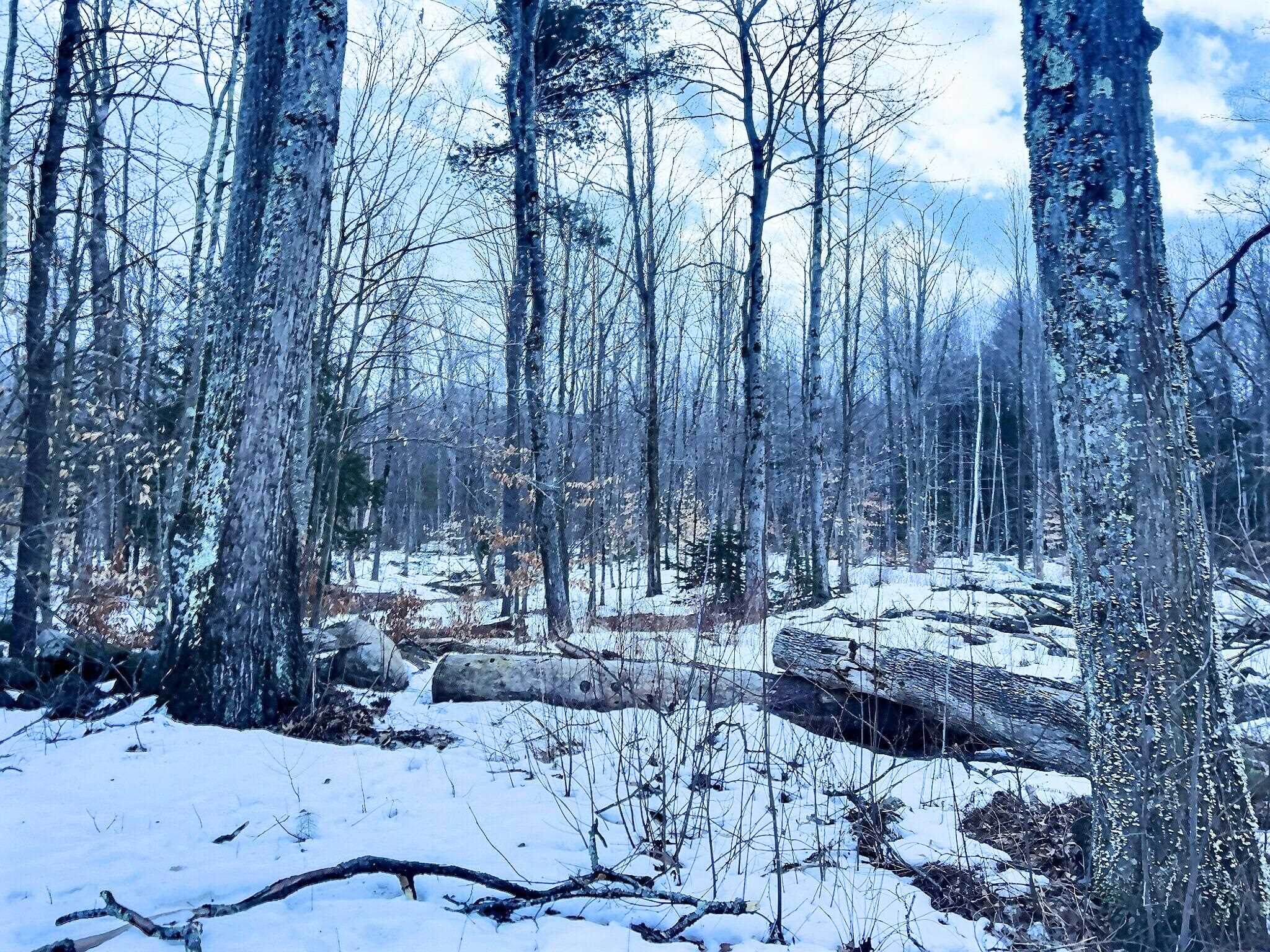 0 Map 8 Road, Francestown, NH 03043 | Compass