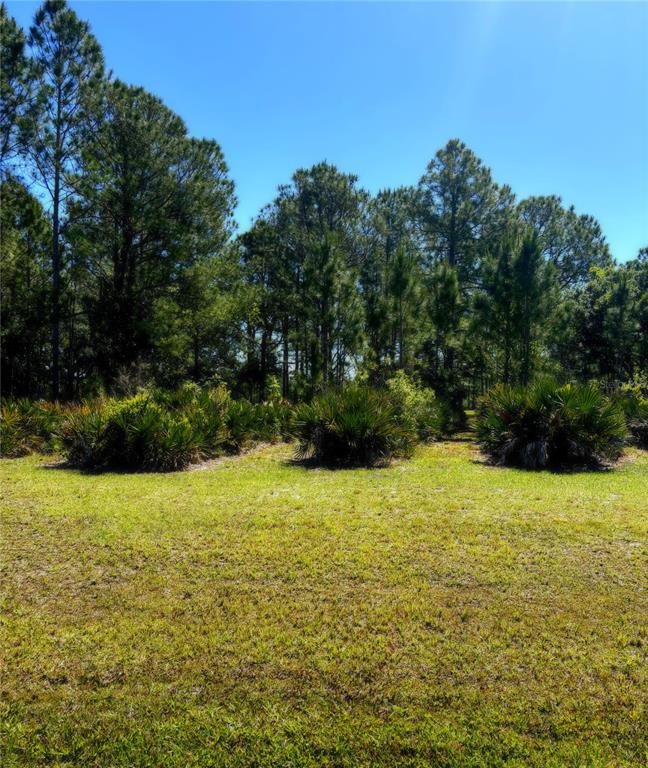 4566 Wright Bros. Rd, Frostproof, FL 33843 | MLS #P4936995 | Compass