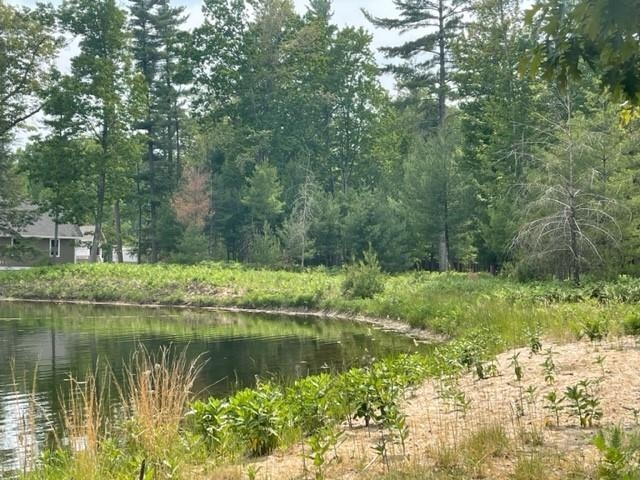9 Frog Pond Drive, Unit THE HOMESTEAD, Glen Arbor, MI 49636