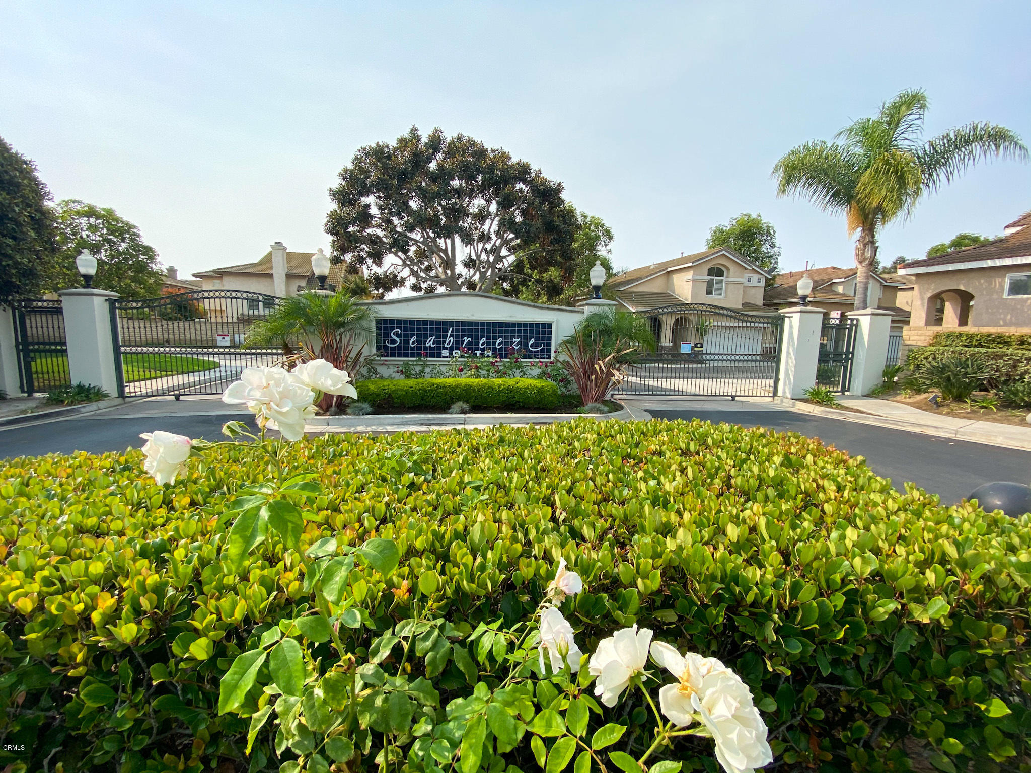Paseo Flowers In Oxnard Ca | Best Flower Site
