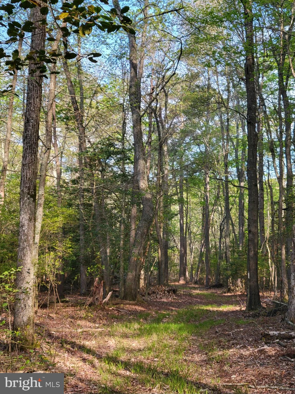 75 Shelltown Road, Marion Station, MD 21838 | Compass