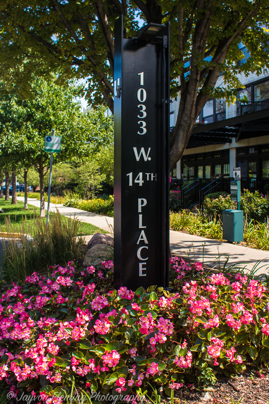 1033 West 14th Place, Unit 313, Chicago, IL 60608 | Compass