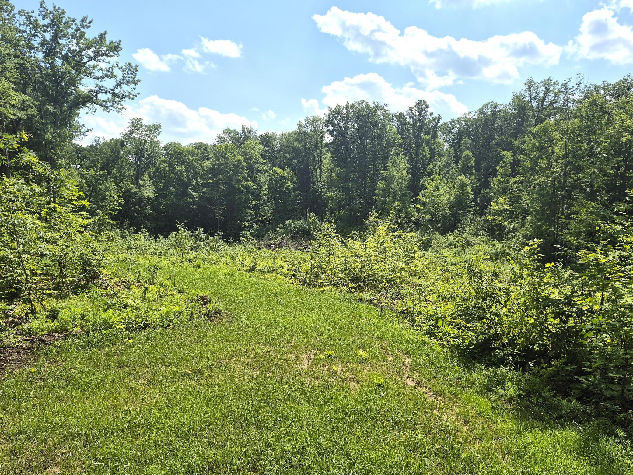 3391 30th St, Frederic, WI 54837 | MLS #6751618 | Compass