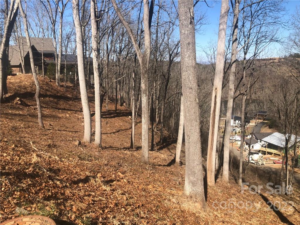 17 Tulip Poplar Trail, Unit 30, Asheville, NC 28804 | Compass