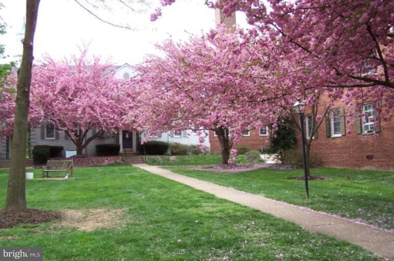 2312 Colston Drive, Unit CODM, Silver Spring, MD 20910 | Compass