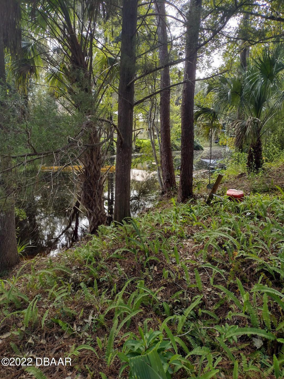 1629 Caroline Drive, Pierson, FL 32180 | Compass