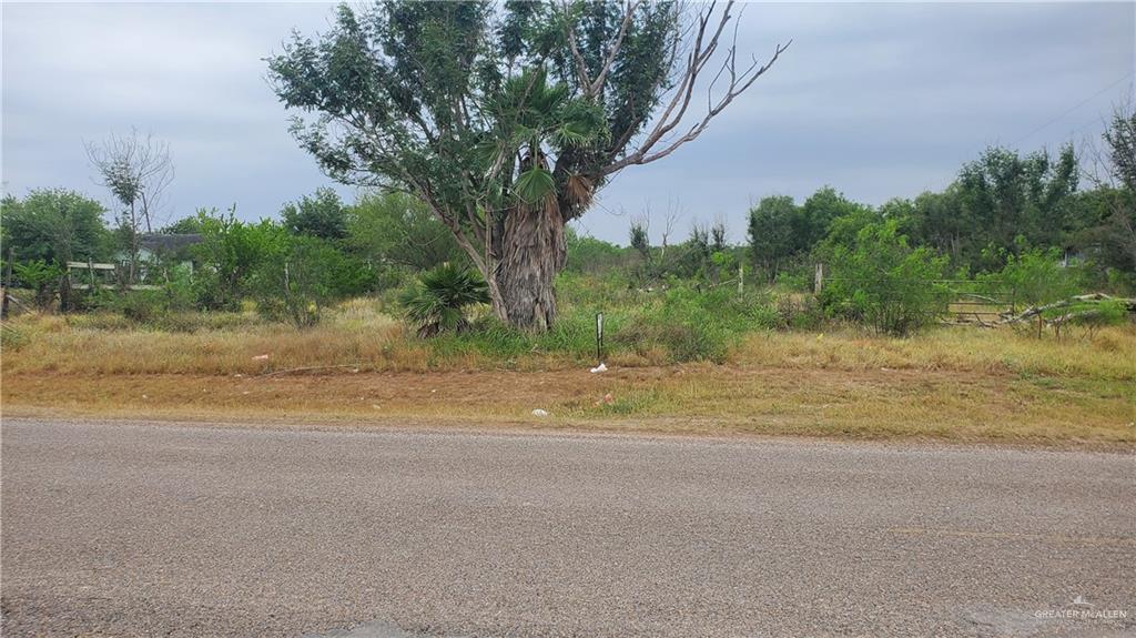 24113 Brushline Road, Edinburg, TX 78542 | Compass