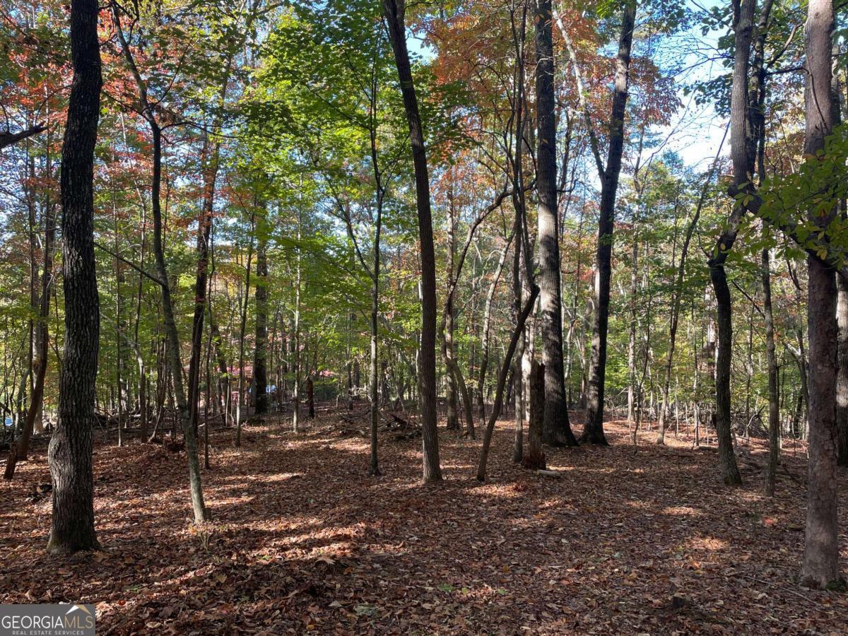 lot 4 Covered Bridge Rd, Blairsville, GA 30512 | MLS #10630308 | Compass