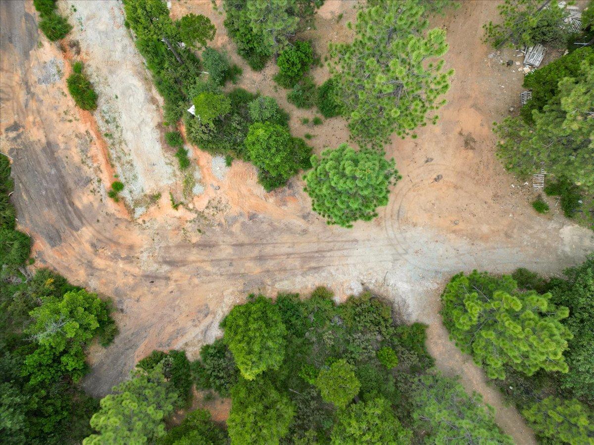 Tyler City California