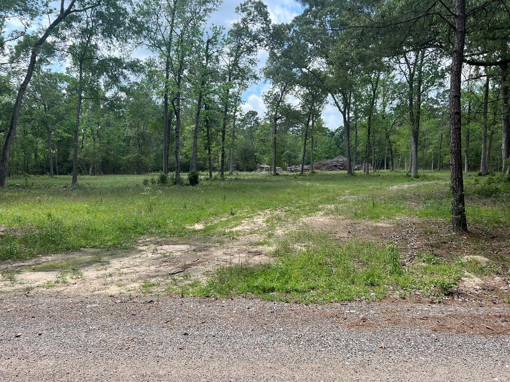 13825 Eden Lane, Willis, TX 77378 | Compass
