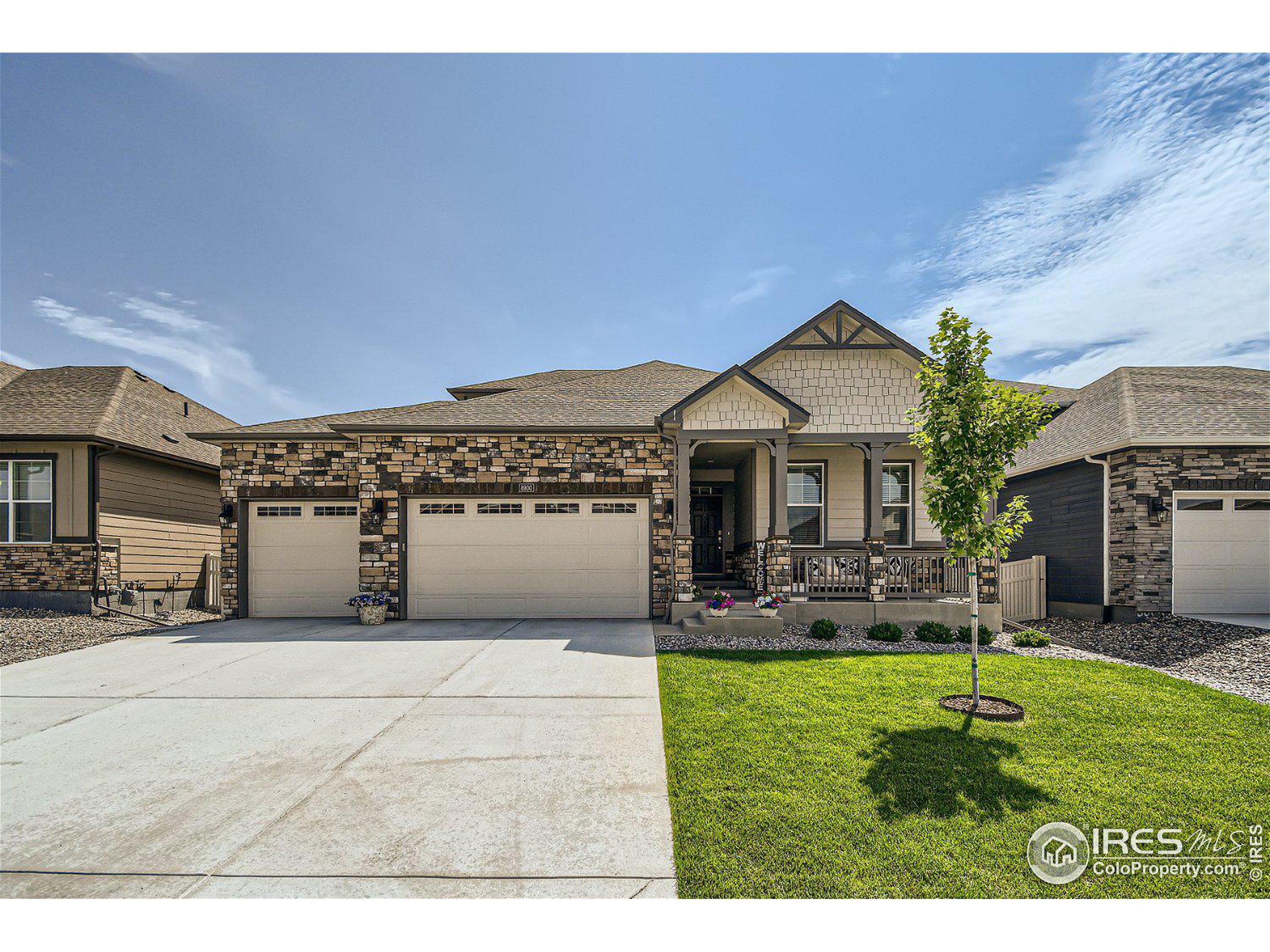 Shs Falcons Longmont