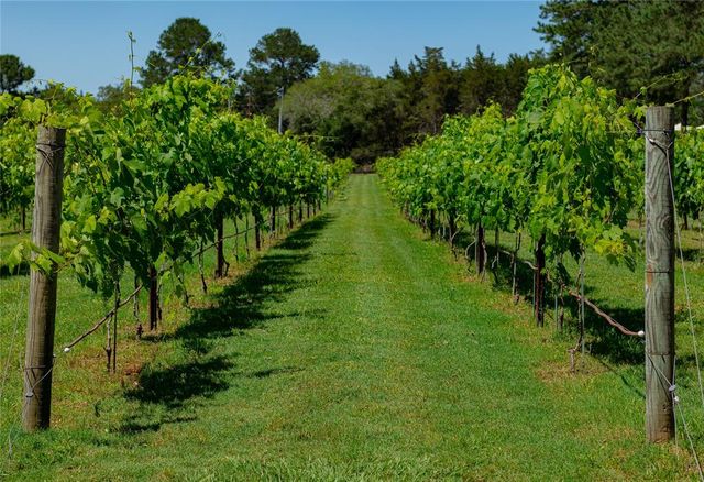 Rick Doak, Real Estate Agent - Compass