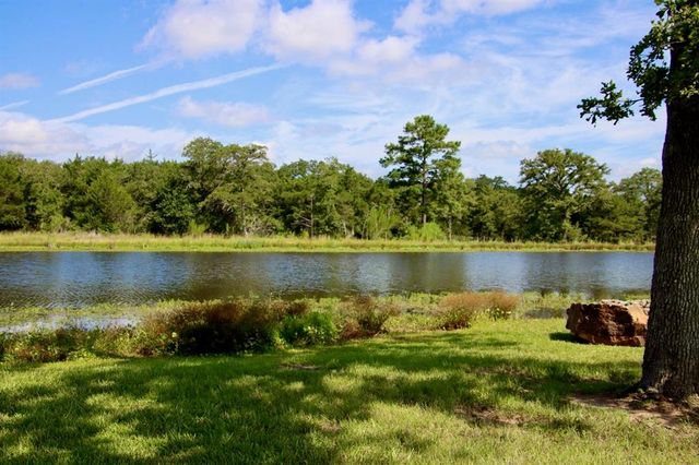 Rick Doak, Real Estate Agent - Compass