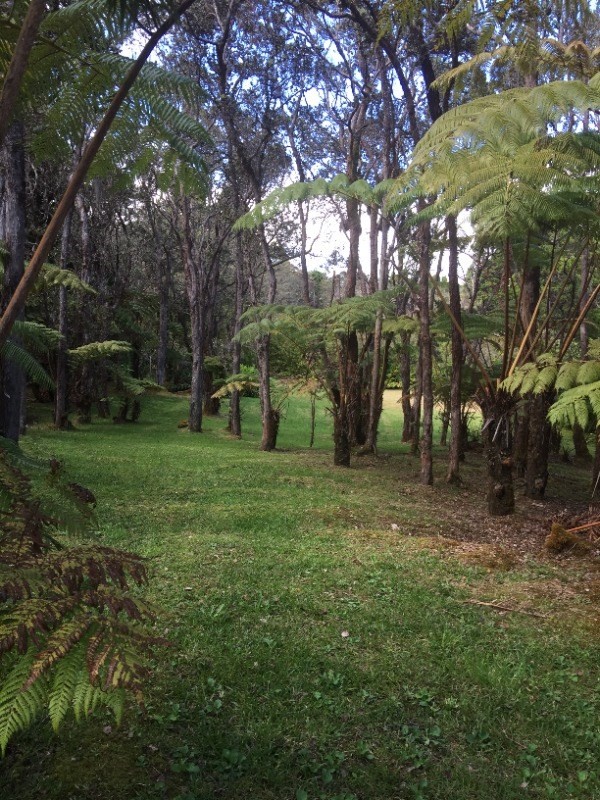 Kalani Honua Rd, Volcano, HI 96785 | Compass