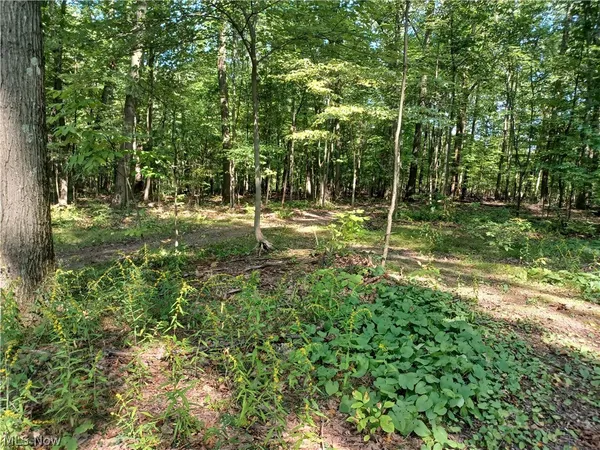 Homes for Sale Under $200K in New Bedford, PA | Compass
