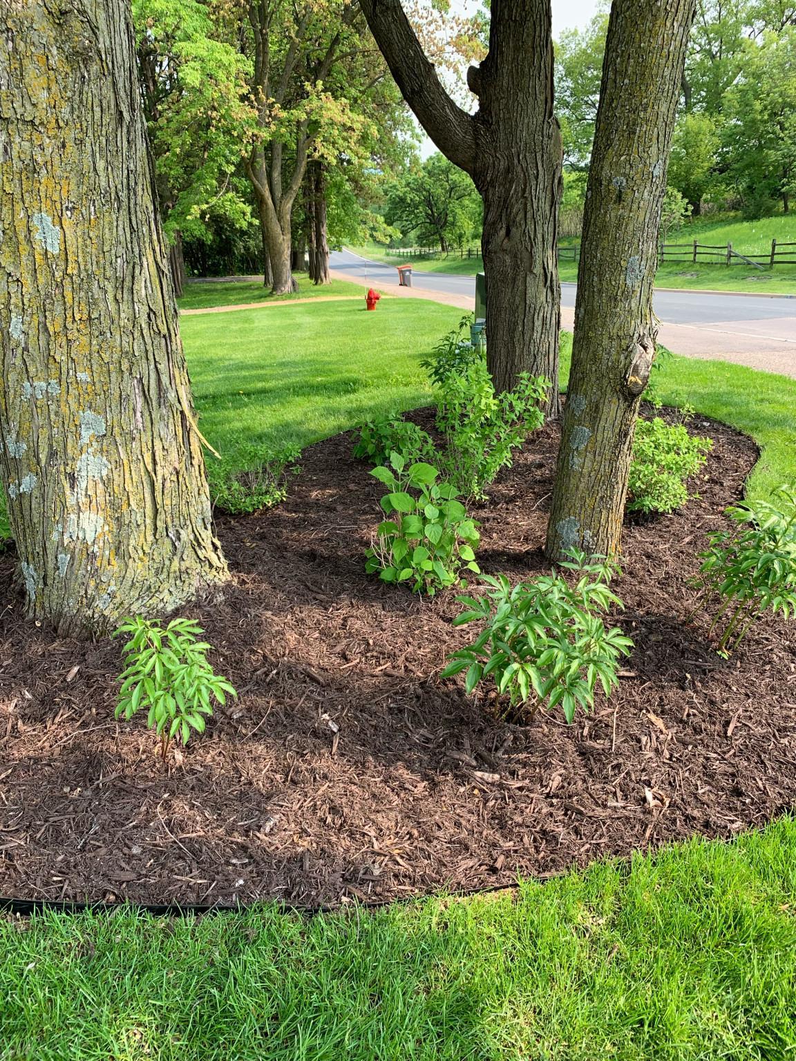 1145 Mt Hope Road, Carver, MN 55315 | Compass